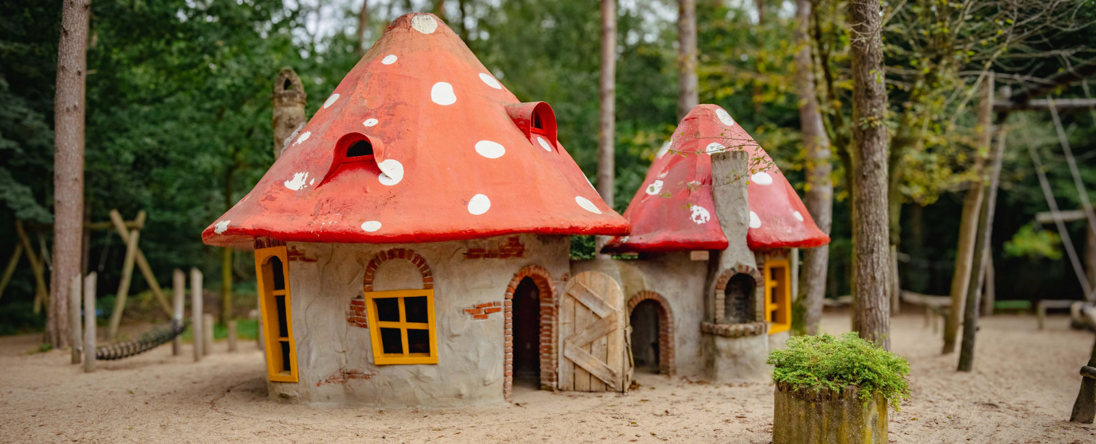 Het Grote Kabouterbos | Marion reizen